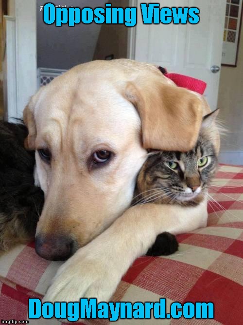 Opposing Views: Hot Button Issues Q&A – Zelensky, Department of ...