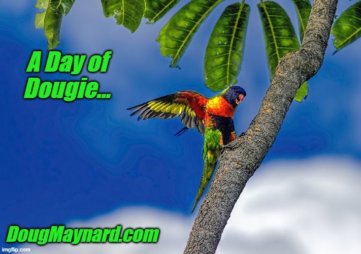 A Day of Dougie: Life, General Lee, and Losing My Religion ...