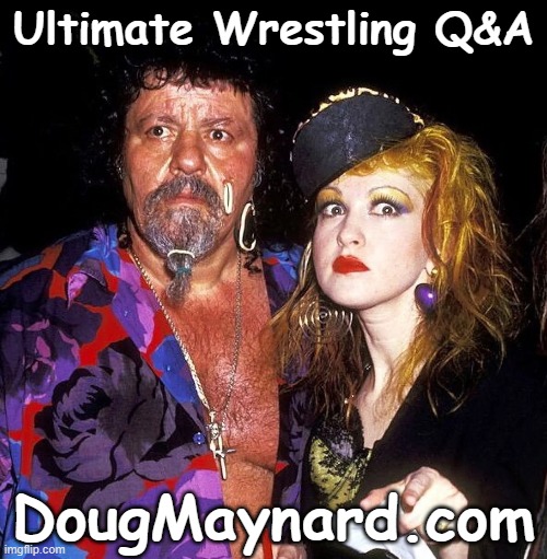 Ultimate Wrestling Q&A: Jake Roberts, Kris Statlander, Tony Schiavone ...